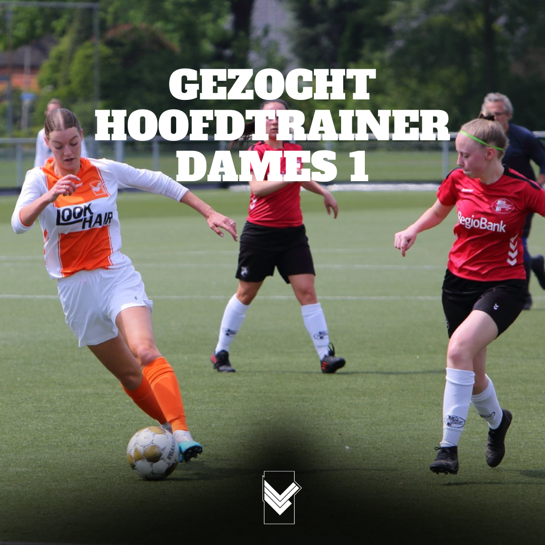 Vacature hoofdtrainer Dames 1 2024-2025 | VV Lemelerveld